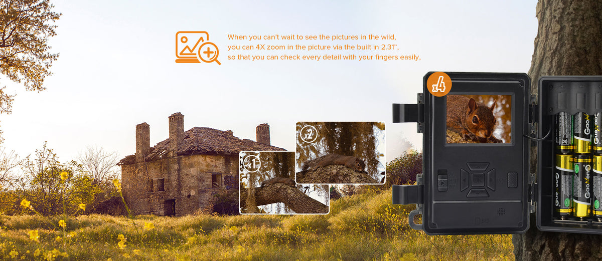 Do you know the benefits of using a trail camera while hunting ...