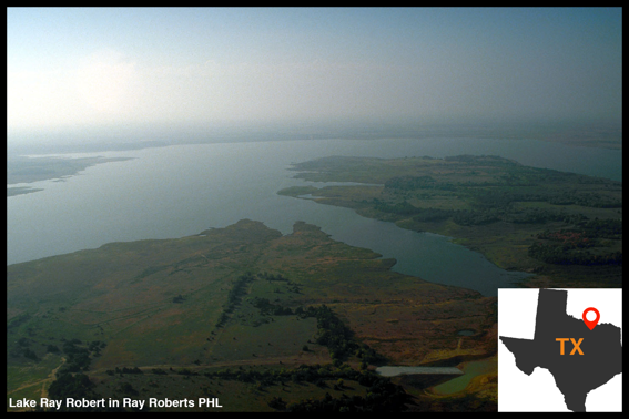 Hunting in Texas - Top 5 Spots – Winghome Trail Camera